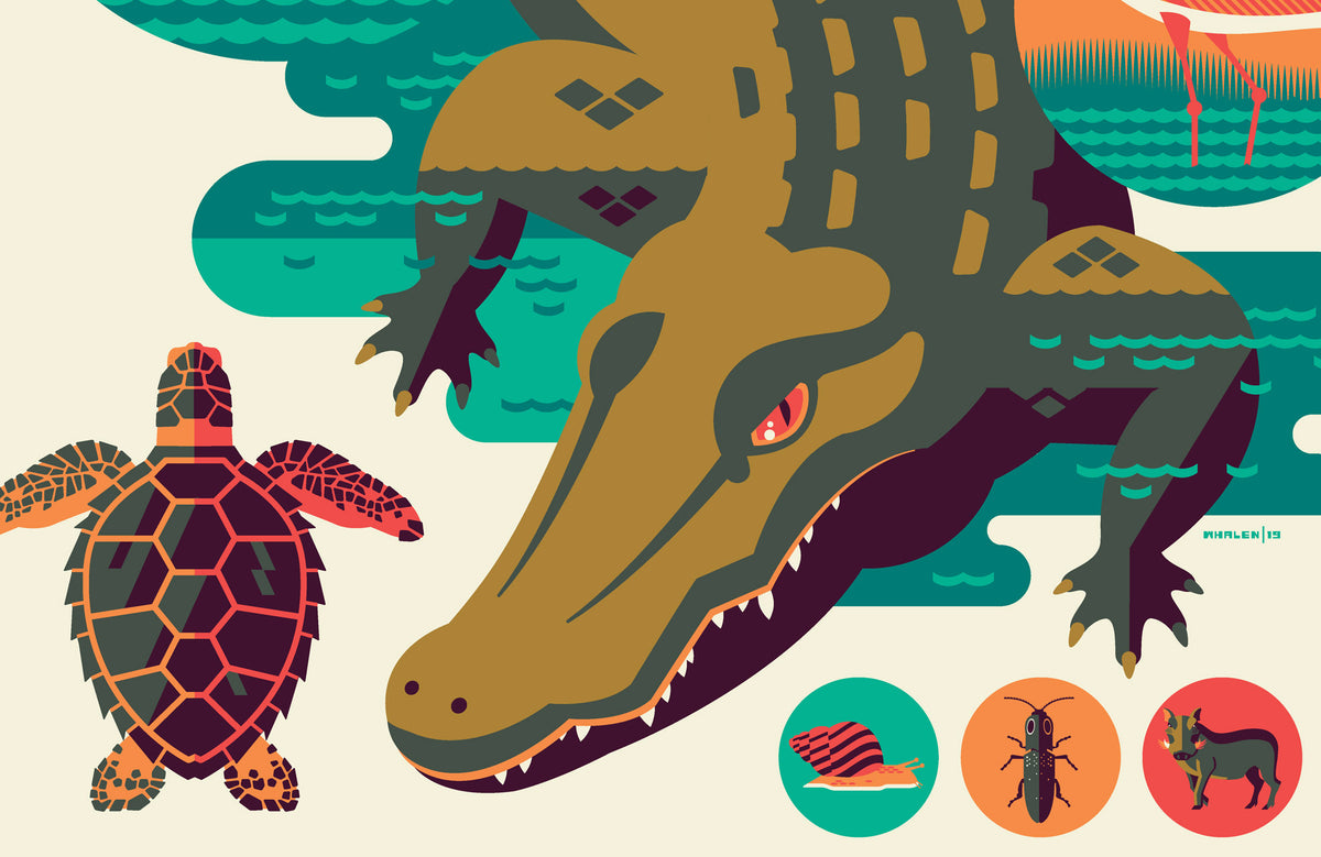 Iconic Wildlife of Everglades National Park Poster – Fifty-Nine Parks