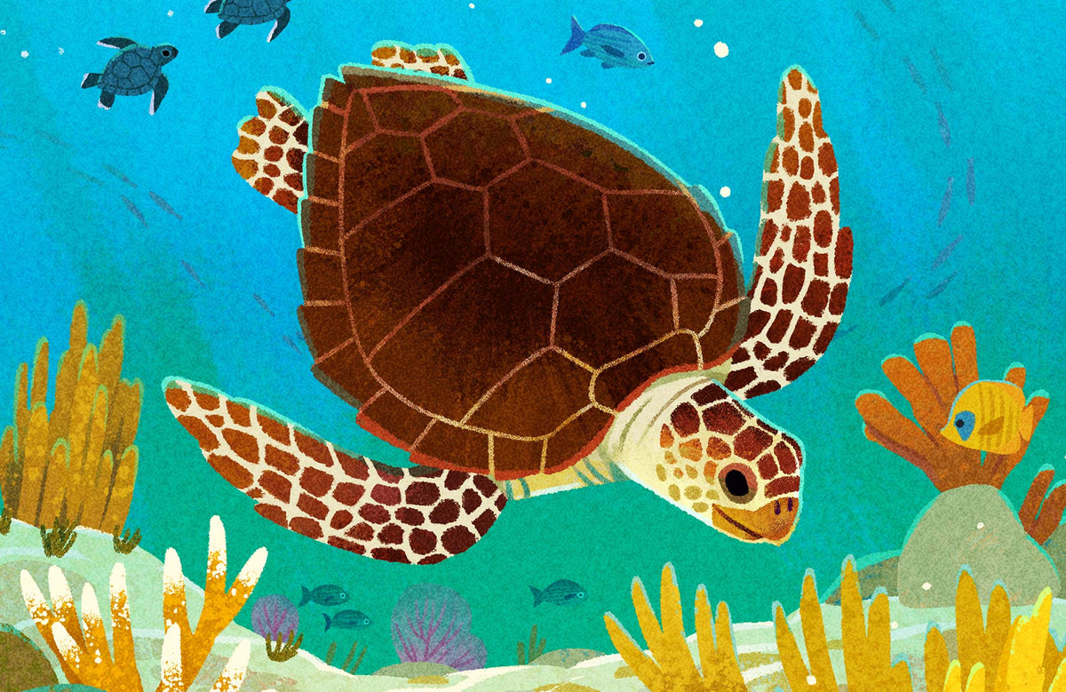 Loggerhead Sea Turtle National Park Alphabet Print – Fifty-Nine Parks