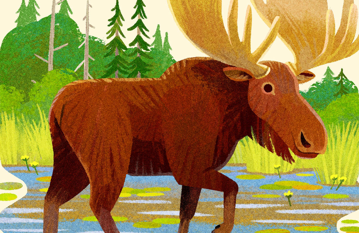 Moose National Park Alphabet Print – Fifty-Nine Parks