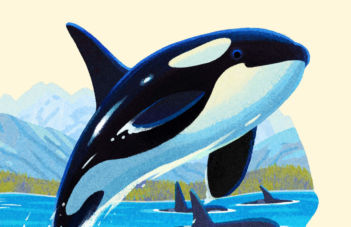 Orca National Park Alphabet Print – Fifty-Nine Parks